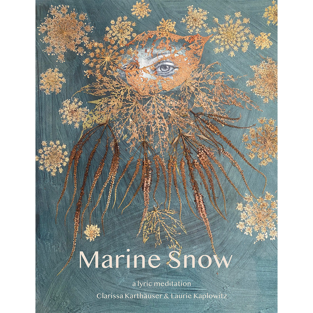 Marine Snow: a lyric meditation – Woods Hole Oceanographic Institution