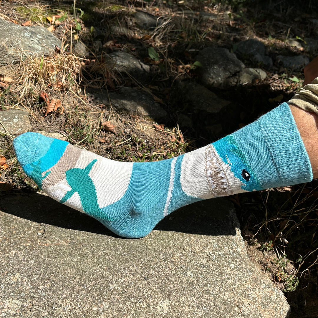 Shark Socks – Woods Hole Oceanographic Institution