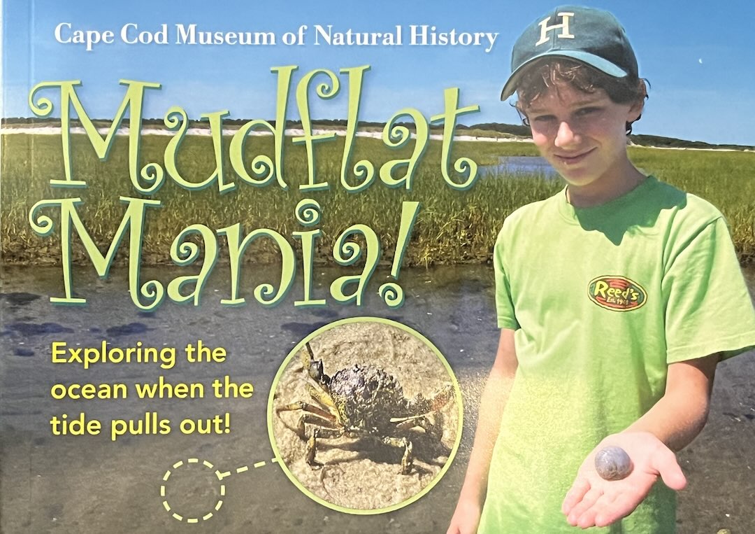 Mudflat Mania – Woods Hole Oceanographic Institution
