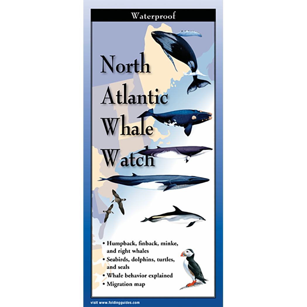 North Atlantic Whale Watch - Folding Guide – Woods Hole Oceanographic ...